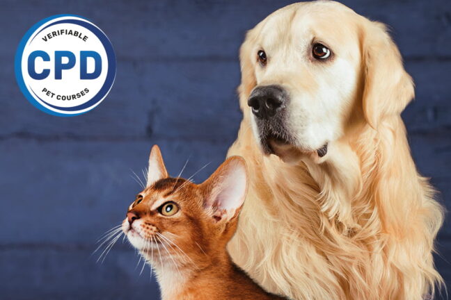 Online Courses - Pet Education and Training Courses