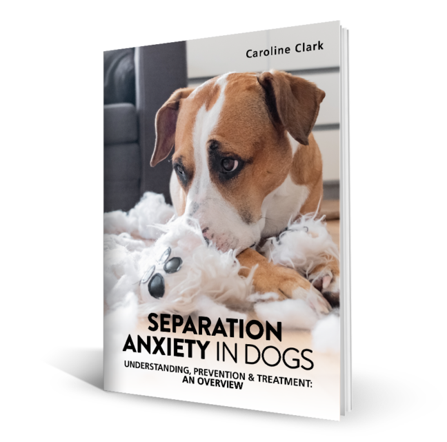 Separation Anxiety in Dogs E-Book - Free Pet Education Resources