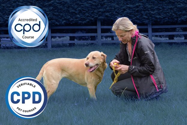 Online Courses - Pet Education and Training Courses