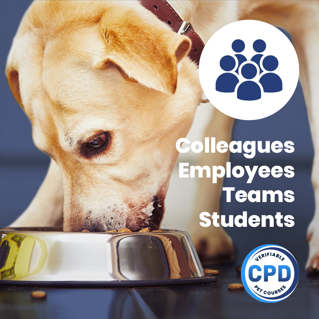 Shop - Pet Education and Training Courses