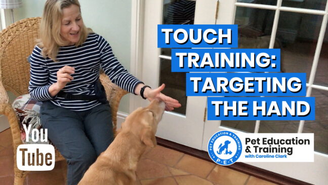 Free Resources Archive - Pet Education and Training Courses