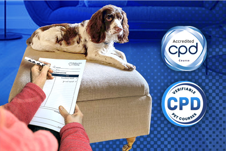 Pet Education and Training Courses - Canine & Feline Distance Learning
