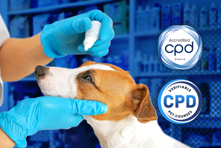 Pet Education and Training Courses - Canine & Feline Distance Learning