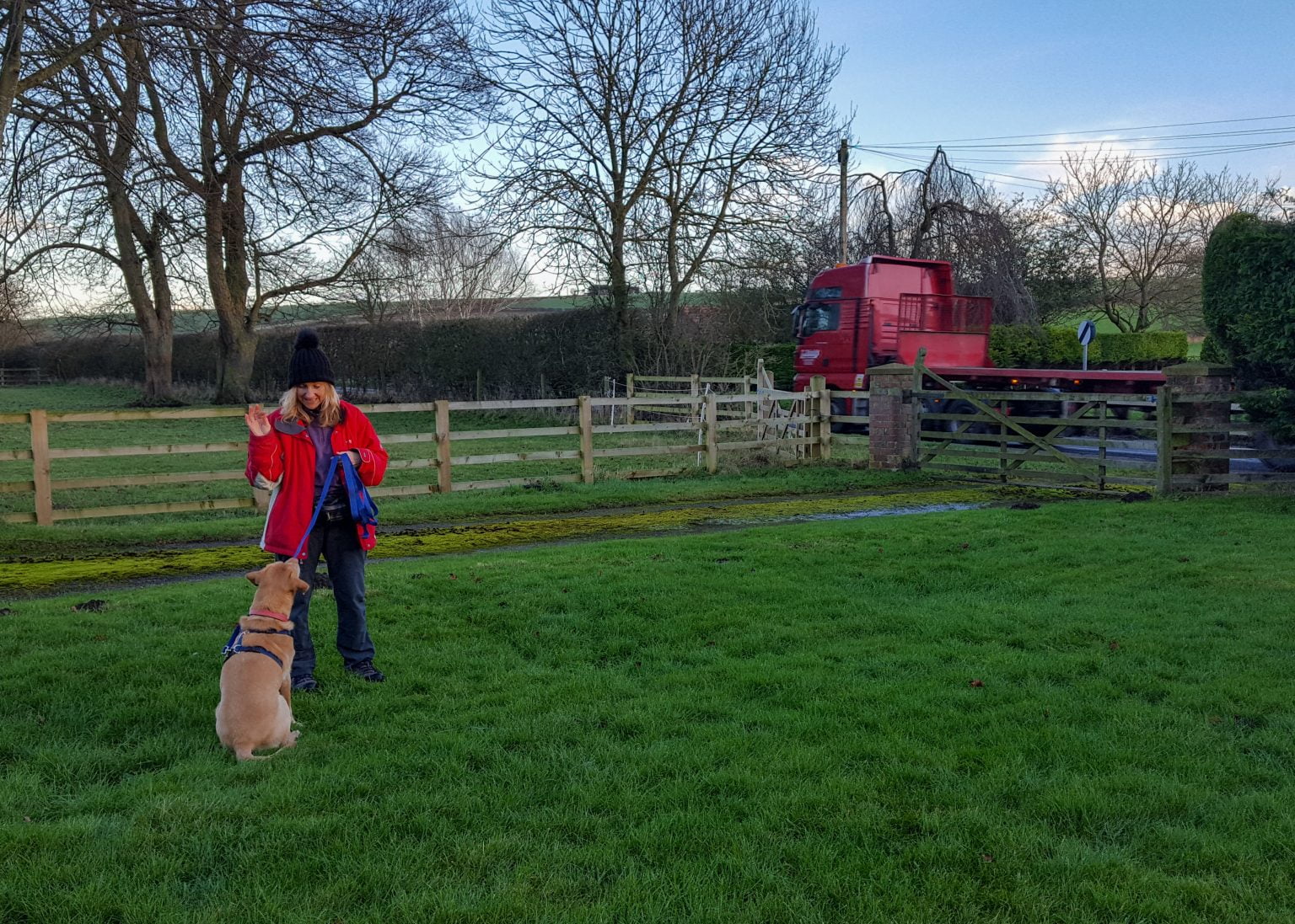 Systematic Desensitisation & Counter-Conditioning - Free Pet Education ...