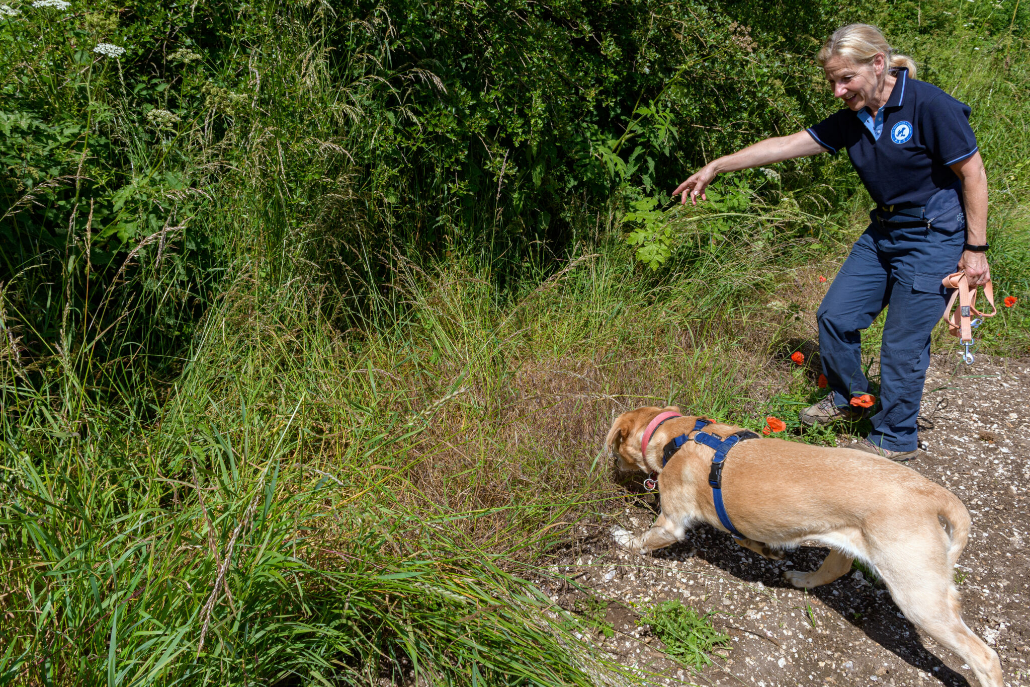 Recall Training - Free Pet Education Resources
