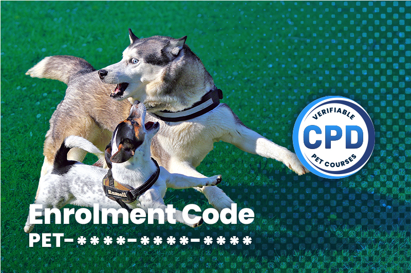 Managing Safe Interactions Between Dogs Webinar - Pet Education and Training Courses