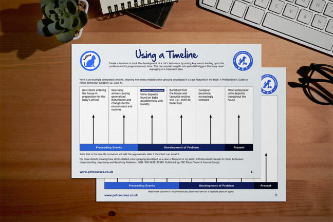 Using a Timeline to Plot the Development of a Problematic Behaviour ...